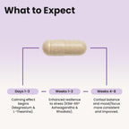 multivitamin for women promoting energy