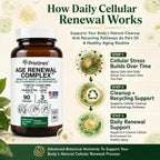multivitamin for women promoting vitality