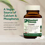 multivitamin for women’s wellness