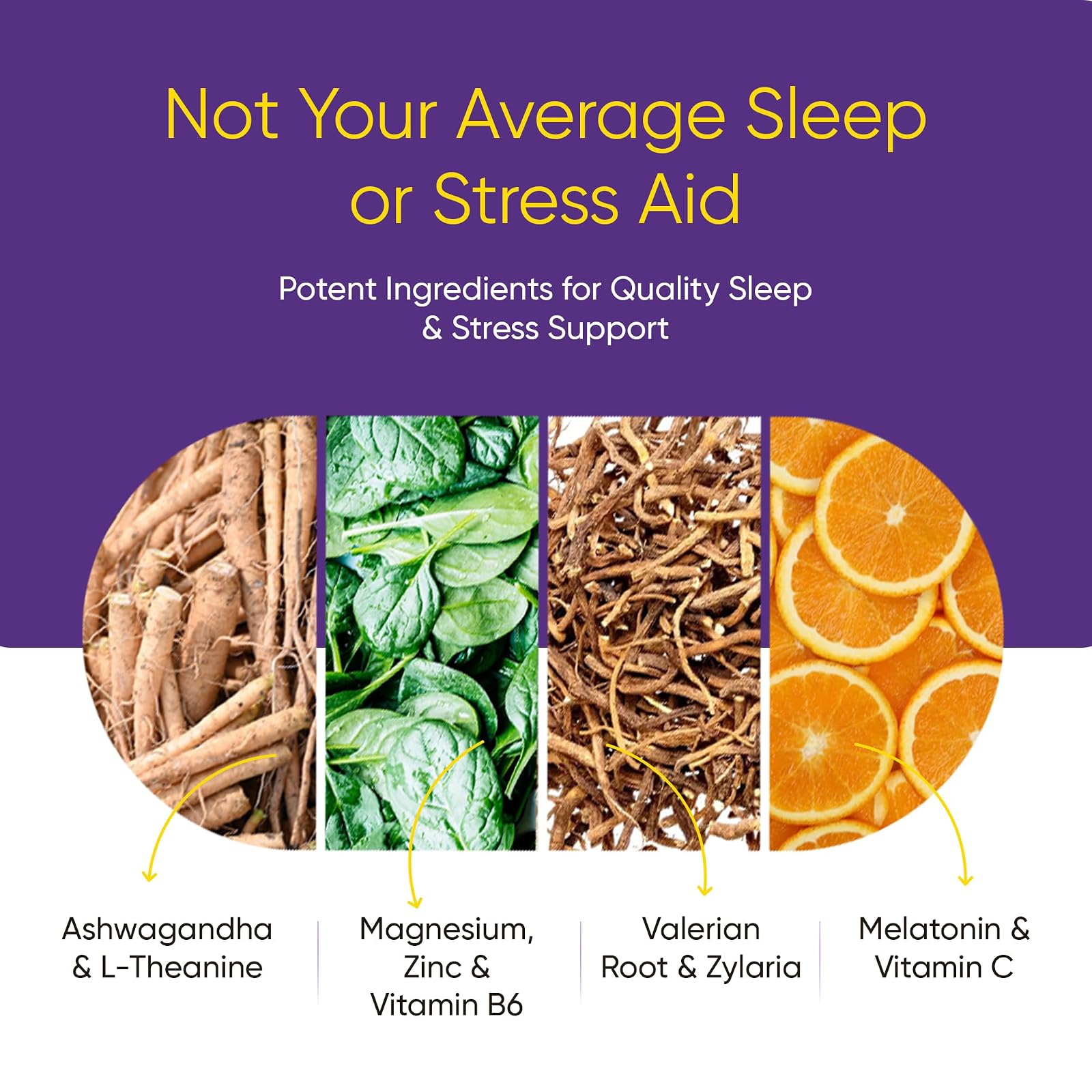multivitamin for women’s wellness