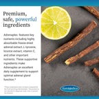 multivitamin for women to boost energy