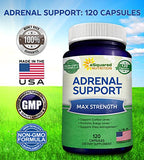 multivitamin for women with adrenal support