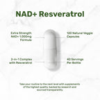 multivitamin for women with antioxidants