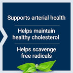 multivitamin for women with antioxidants