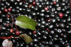 multivitamin for women with antioxidants
