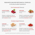 multivitamin for women with artery plaque removal
