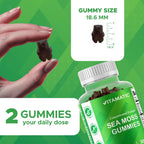 multivitamin for women with bladderwrack