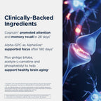 multivitamin for women with brain support
