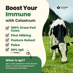 multivitamin for women with colostrum