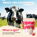 multivitamin for women with colostrum
