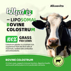 multivitamin for women with colostrum