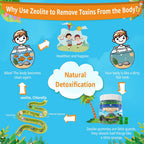 multivitamin for women with detox benefits