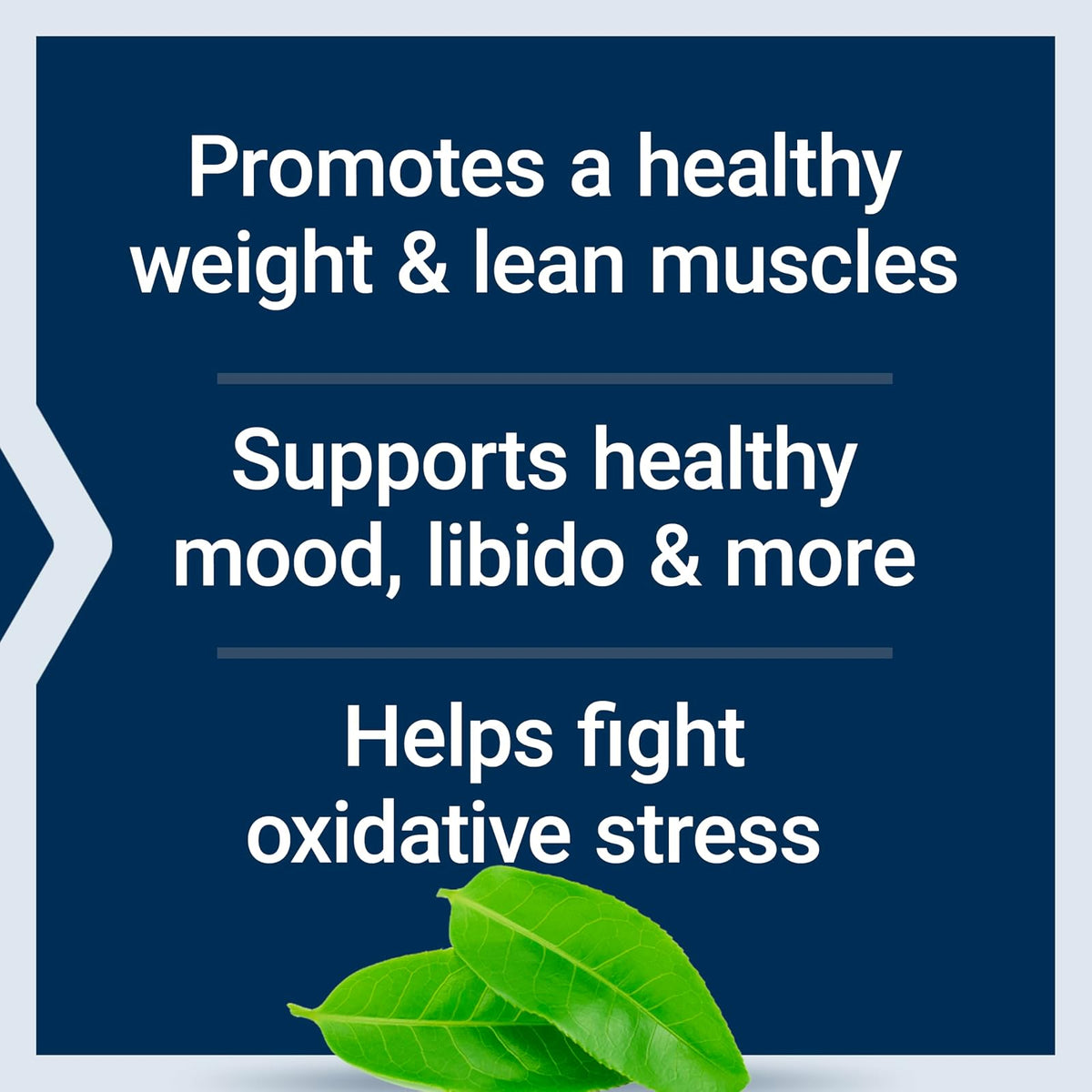multivitamin for women with DHEA