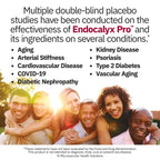multivitamin for women with endothelial support