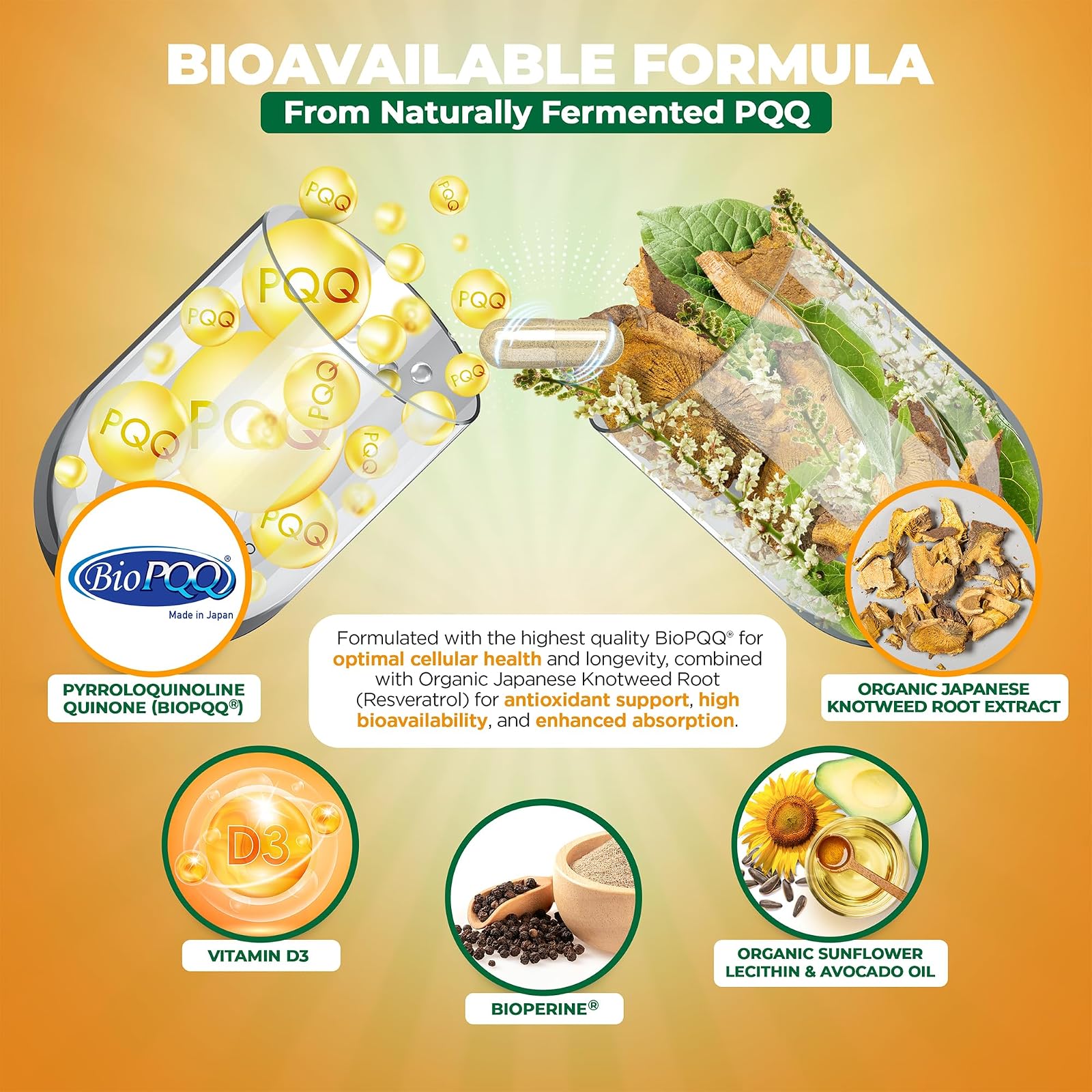 multivitamin for women with essential nutrients