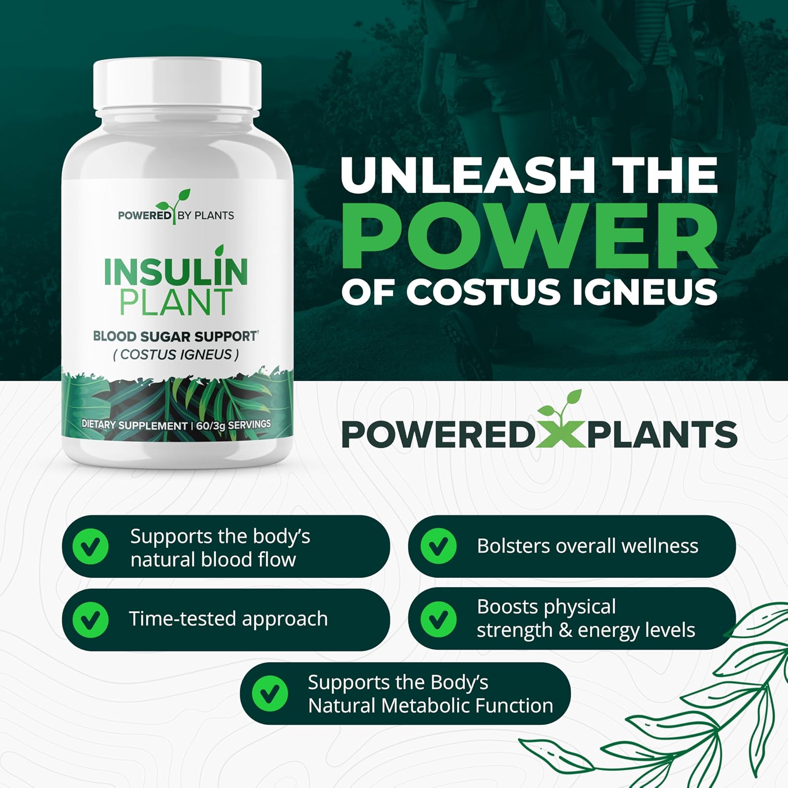 multivitamin for women with essential nutrients