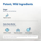 multivitamin for women with essential nutrients