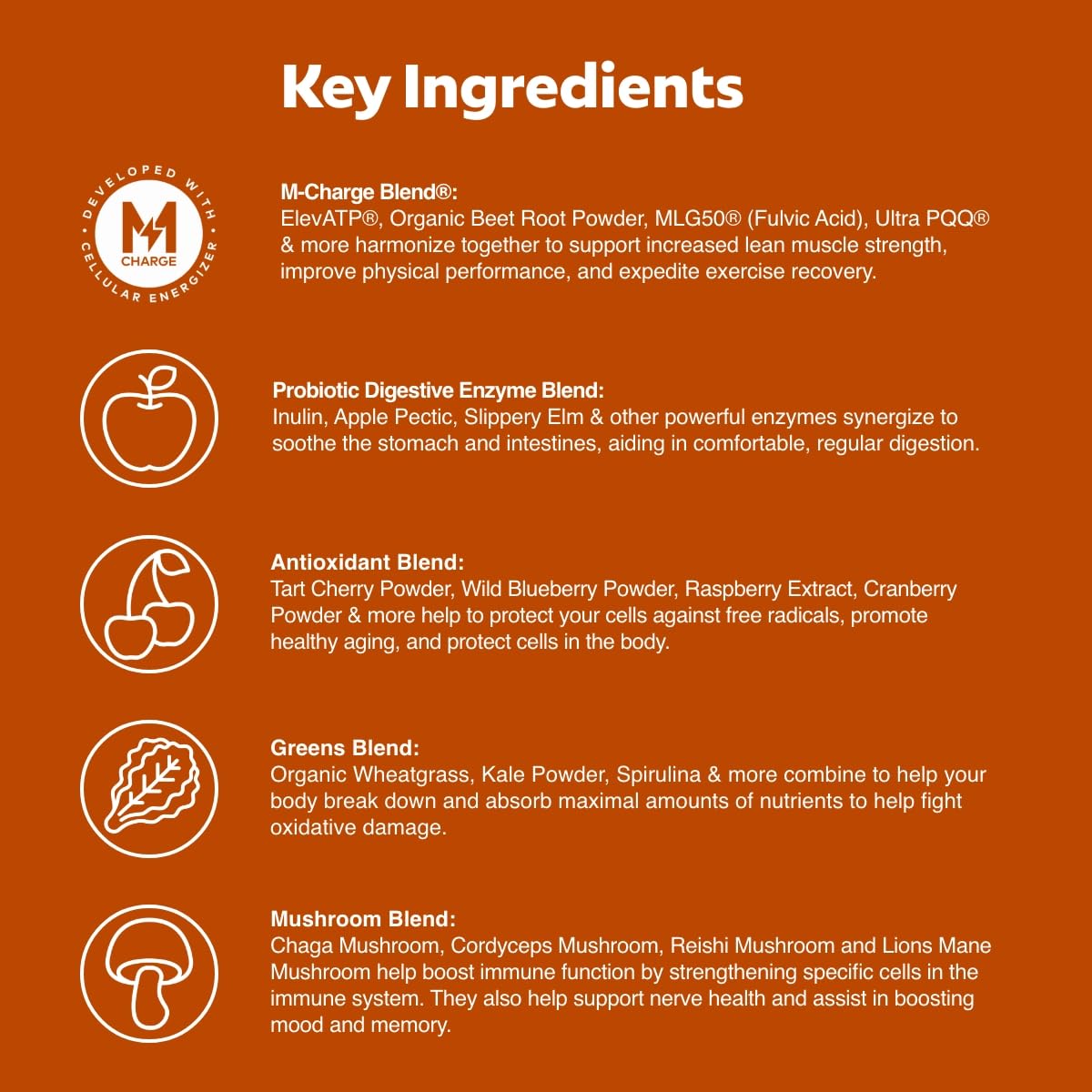 multivitamin for women with essential nutrients