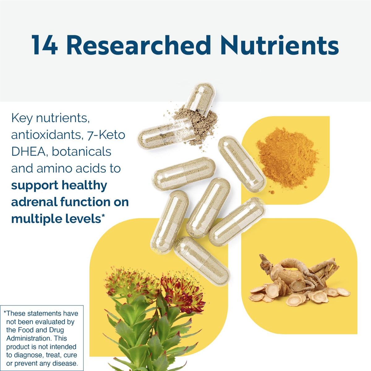 multivitamin for women with essential nutrients