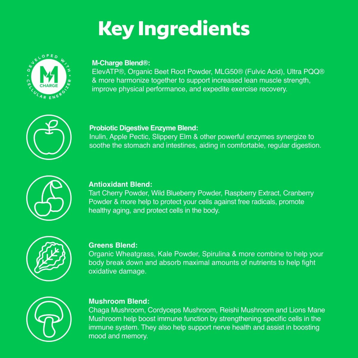 multivitamin for women with essential nutrients
