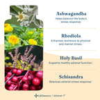 multivitamin for women with essential nutrients
