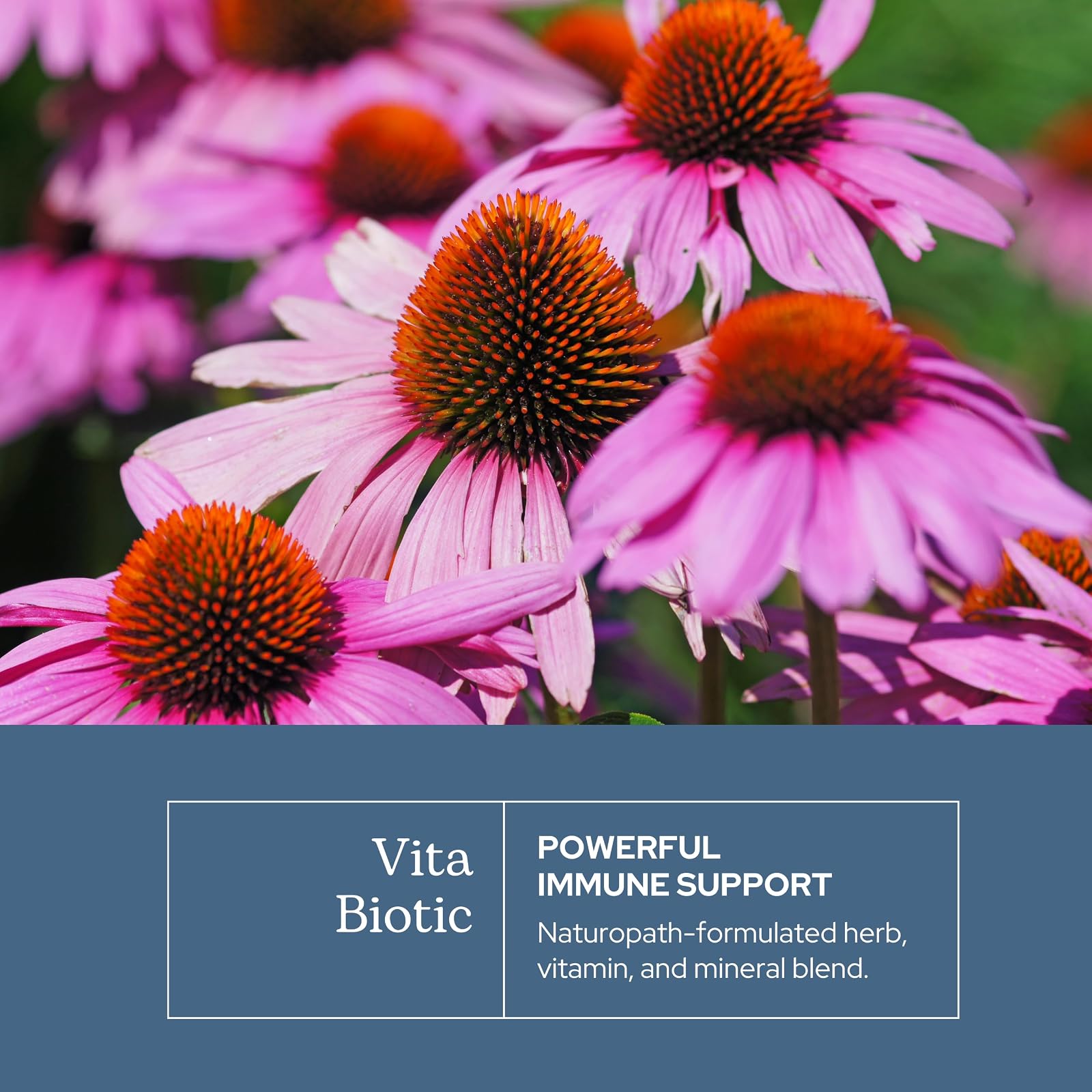 multivitamin for women with essential nutrients