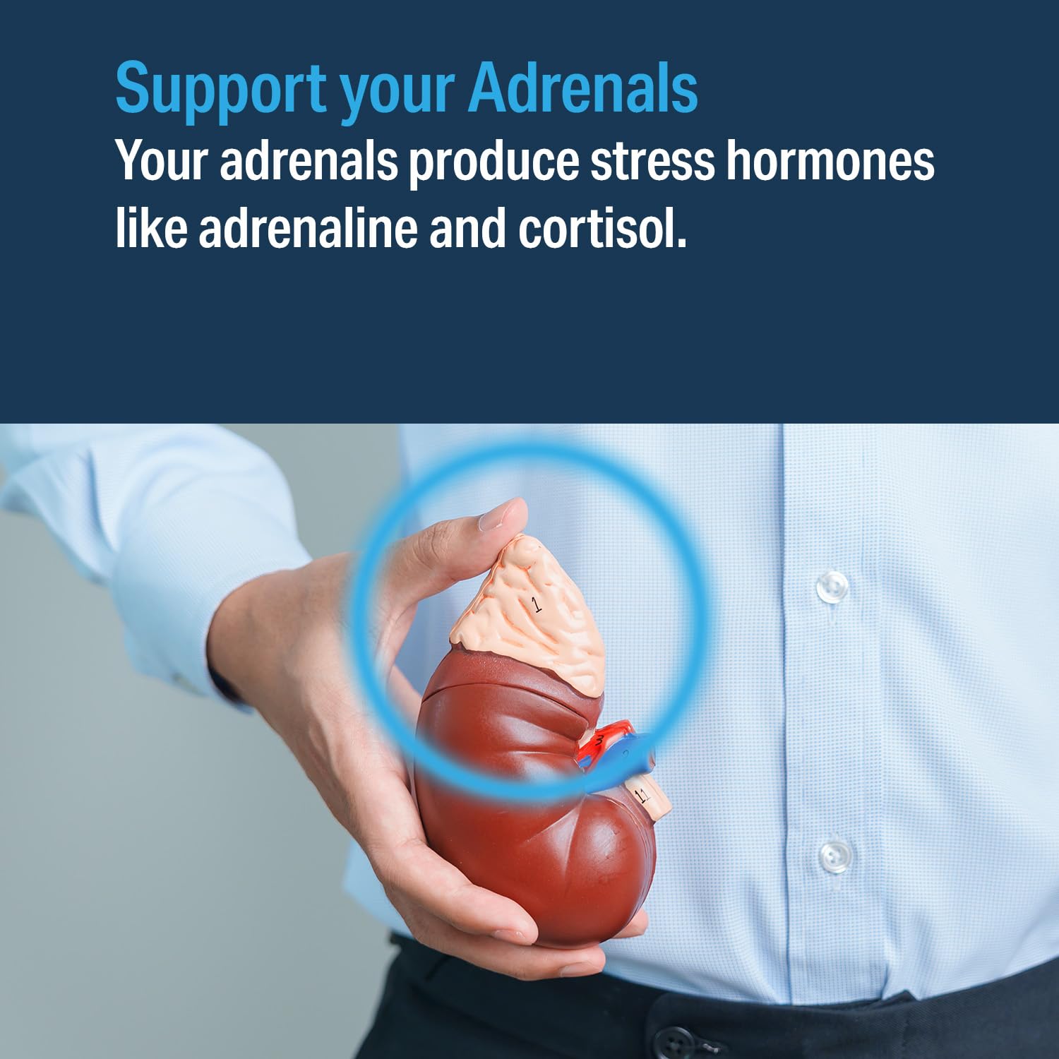 multivitamin for women with essential nutrients
