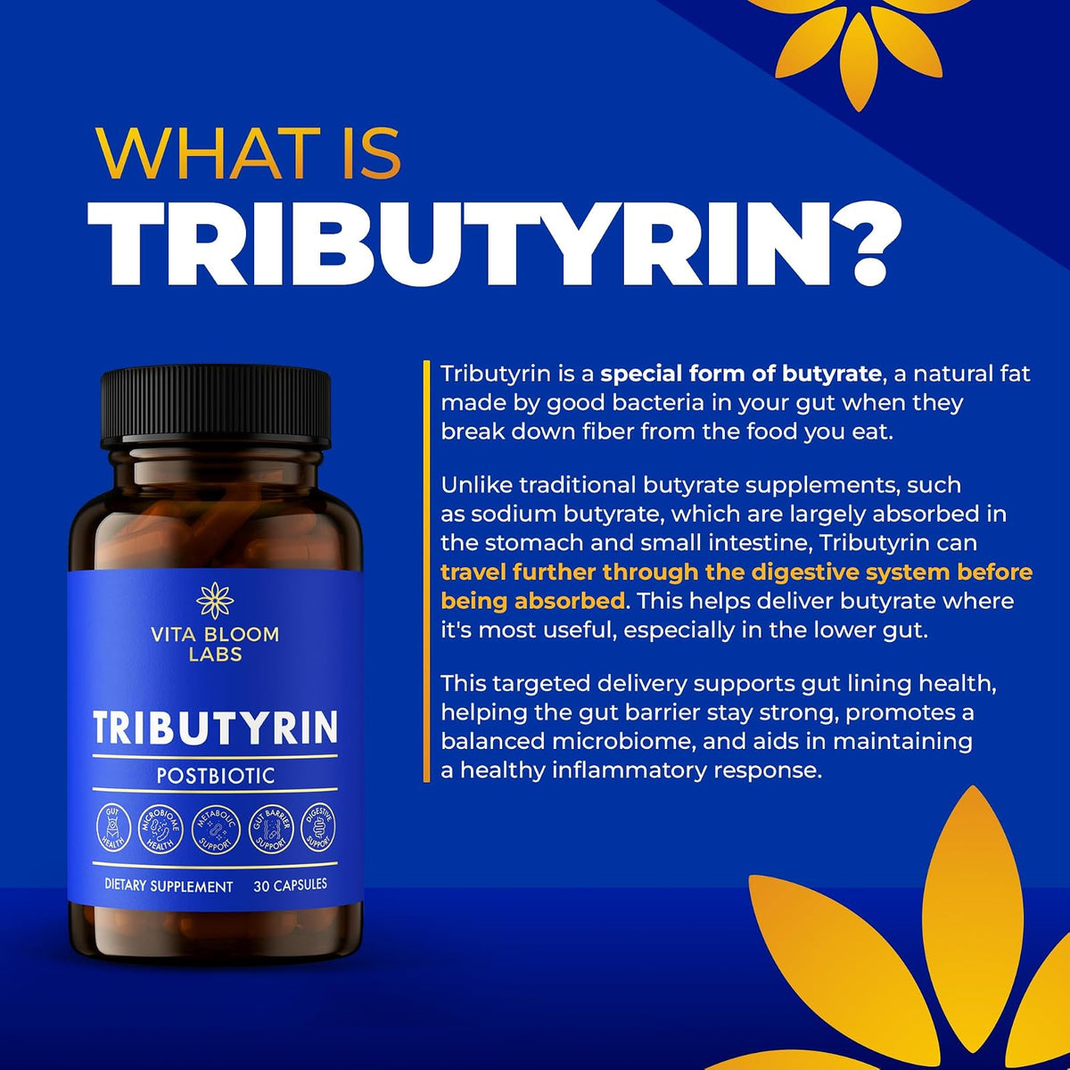multivitamin for women with essential nutrients