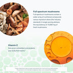 multivitamin for women with immune boost