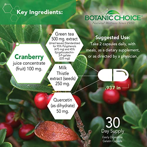 multivitamin for women with kidney support