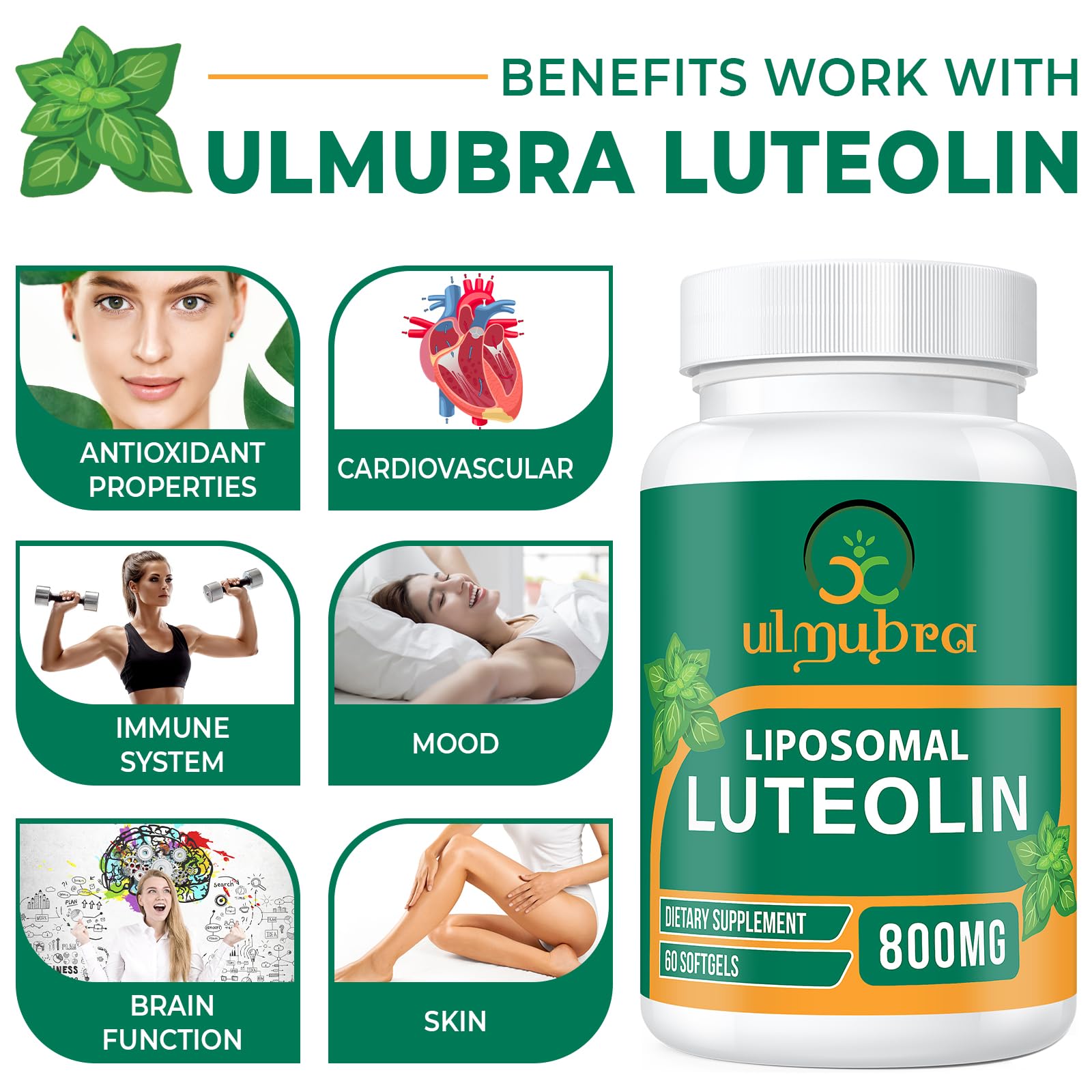 multivitamin for women with luteolin benefits