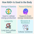 multivitamin for women with NAD+