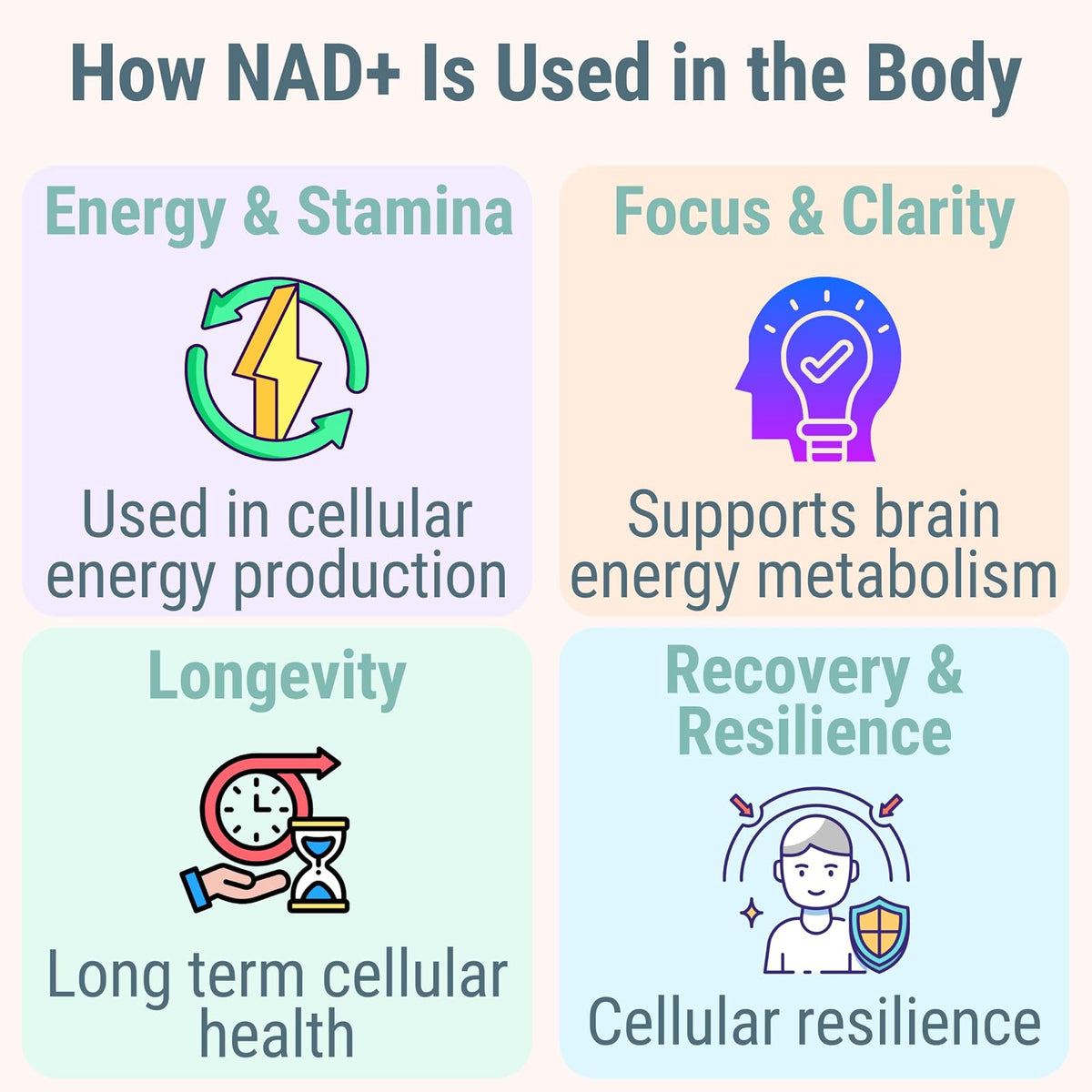 multivitamin for women with NAD+