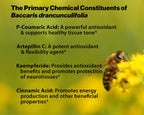 multivitamin for women with natural ingredients