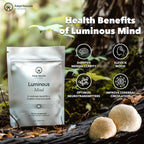 multivitamin for women with nootropics