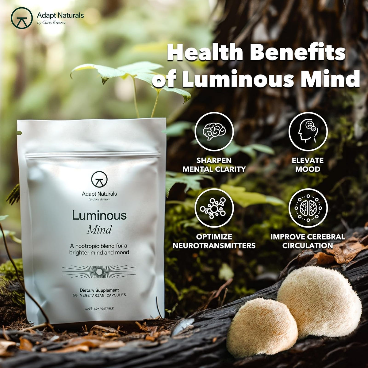 multivitamin for women with nootropics