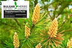 multivitamin for women with pine pollen