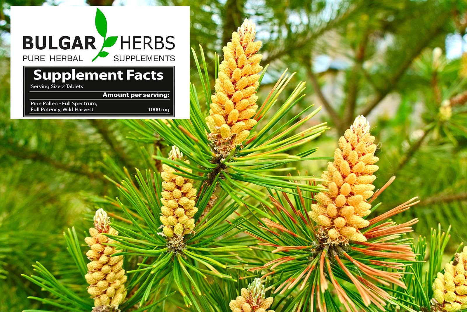multivitamin for women with pine pollen