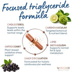 multivitamin for women with plant-based ingredients