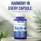 multivitamin for women with SAM-e
