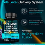 multivitamin for women with sea moss