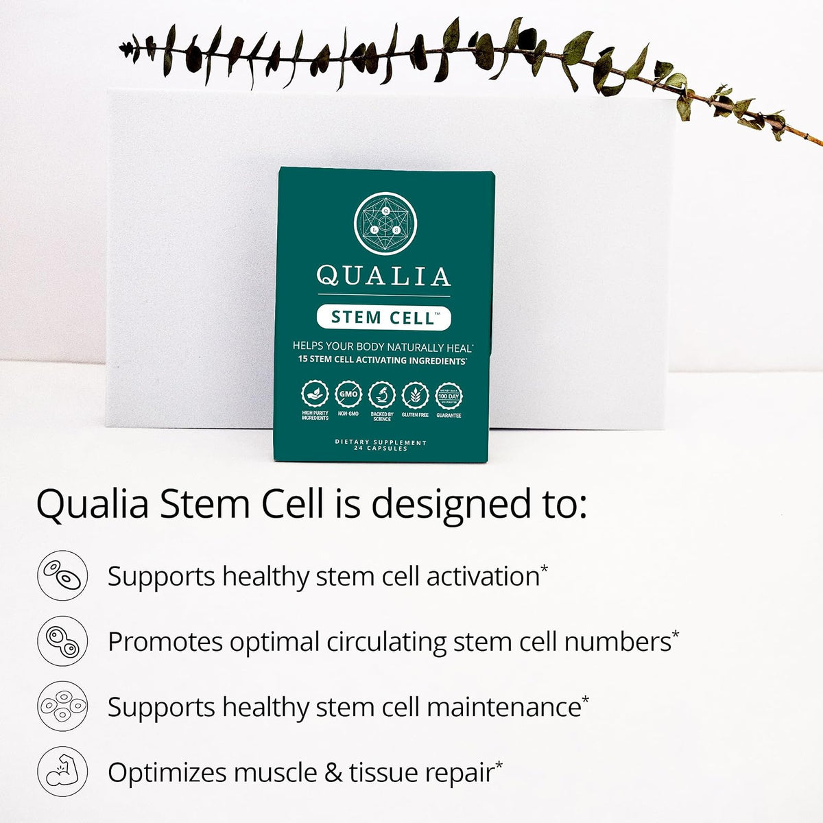 multivitamin for women with stem cells
