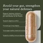 multivitamin for women with synbiotics