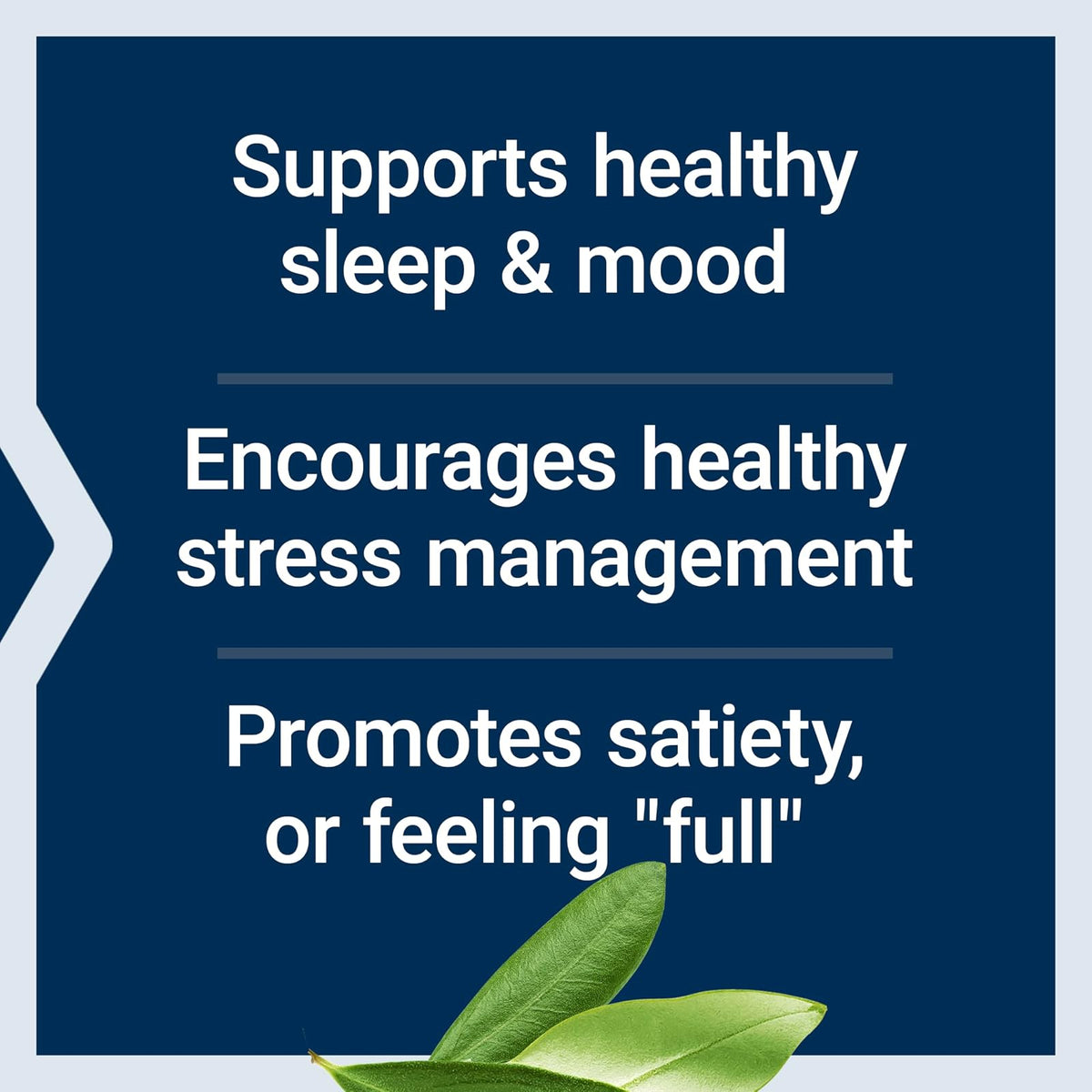 multivitamin for women with tryptophan