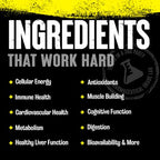 Multivitamin powder for men’s health