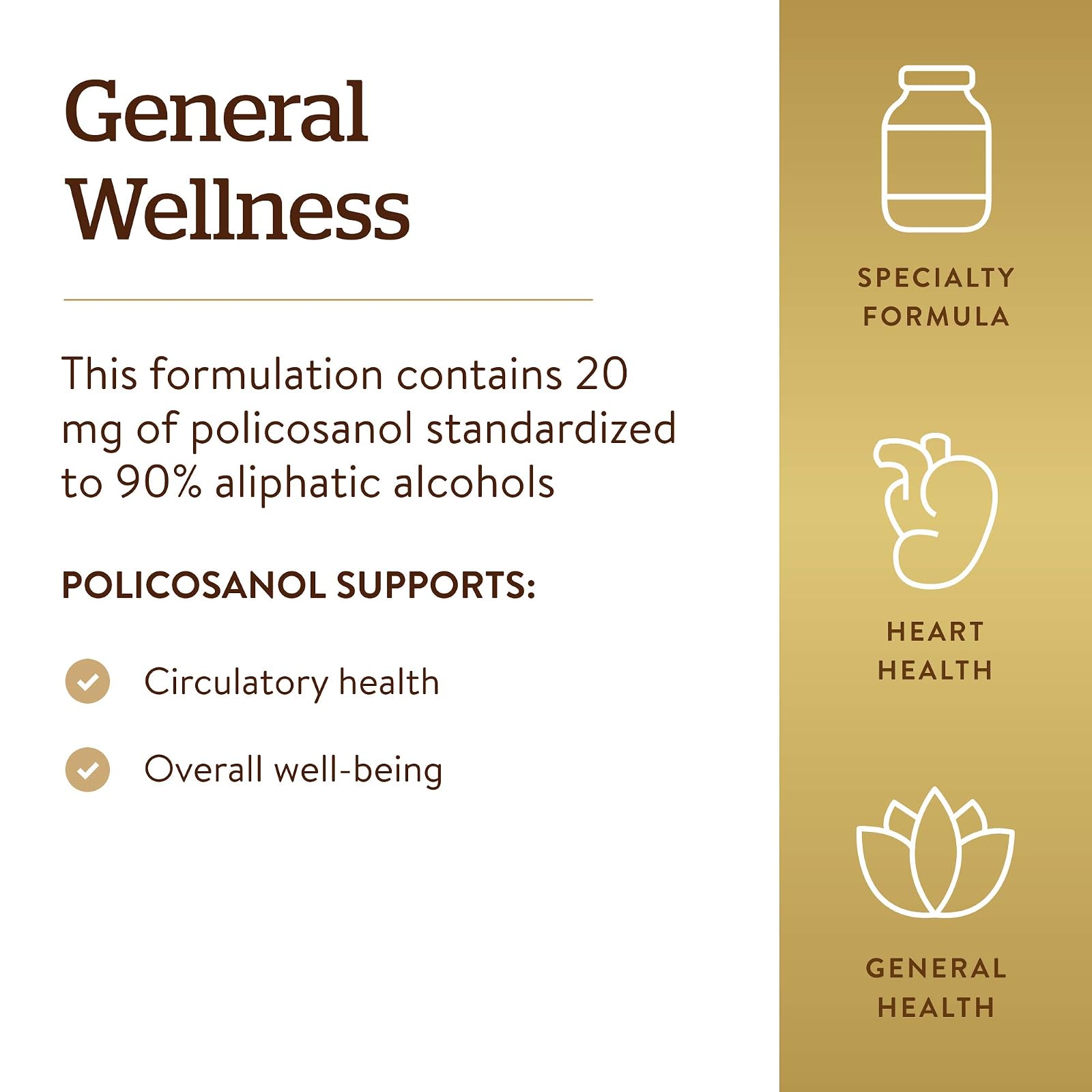 multivitamin support for active lifestyles