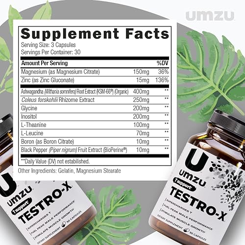 multivitamin support for active lifestyles