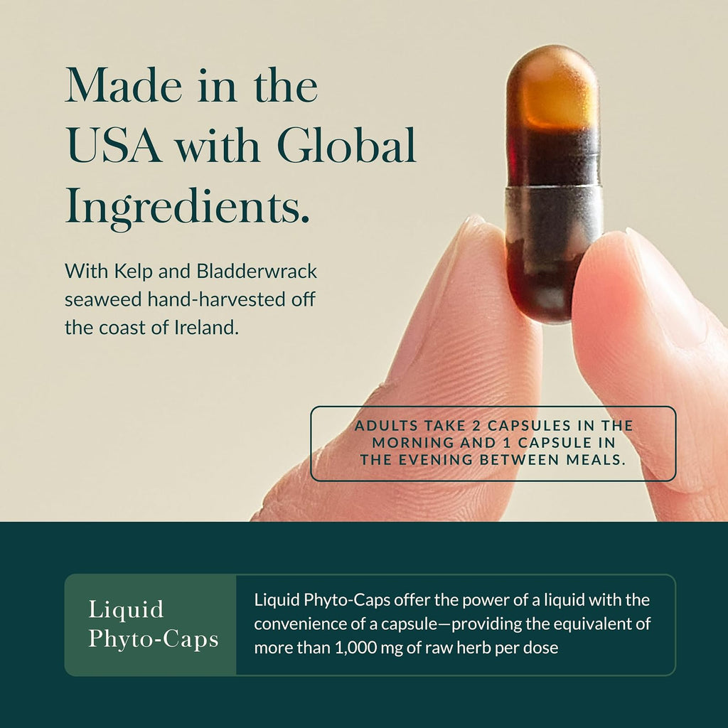 multivitamin support for active lifestyles
