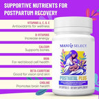 multivitamin support for breastfeeding moms