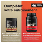 multivitamin support for fitness enthusiasts